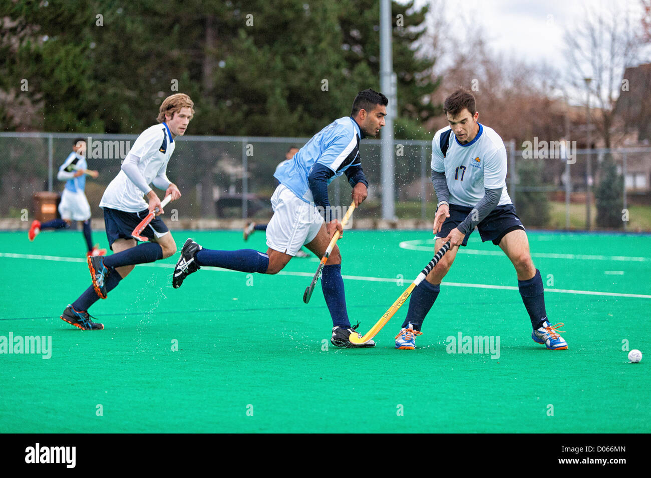 Victoria vikes hi-res stock photography and images - Alamy