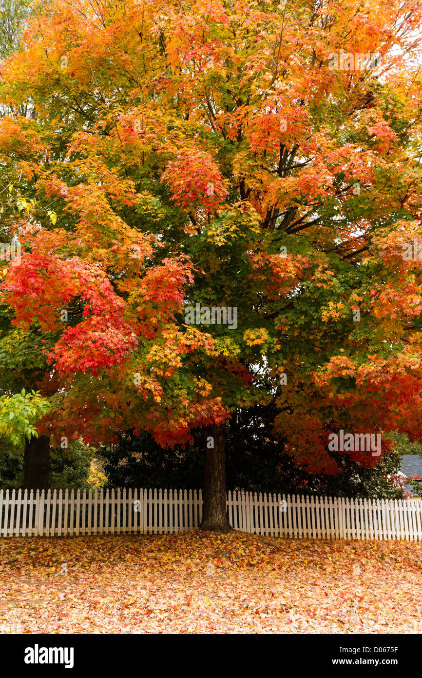 Fall in Old Salem, Winston-Salem NC Stock Photo - Alamy