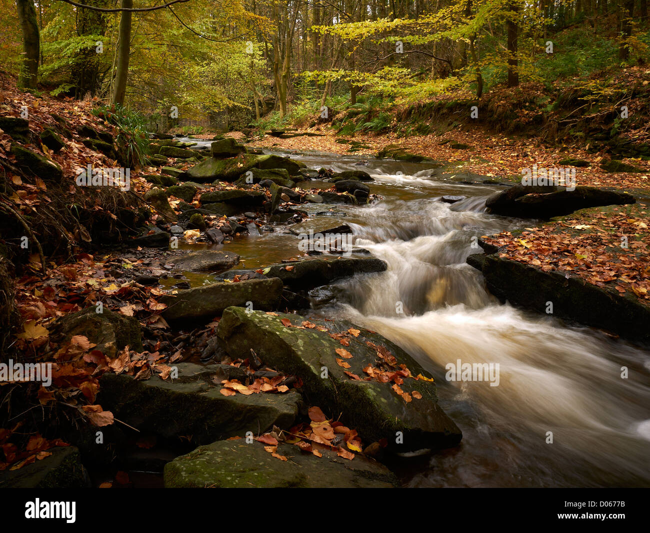 The River Dane in the Peak District National Park Cheshire Derbyshire ...
