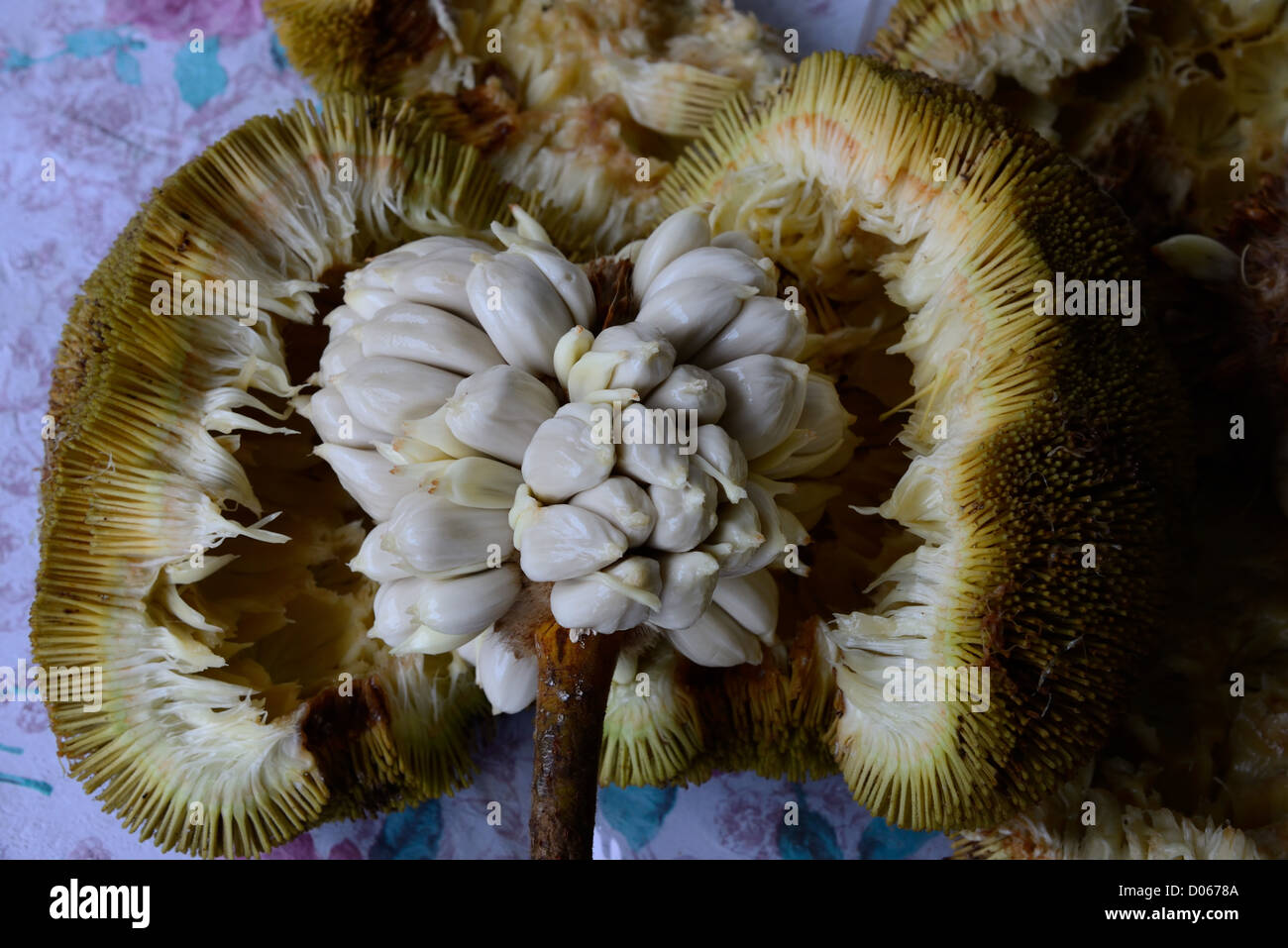 Do tarap hi-res stock photography and images - Alamy