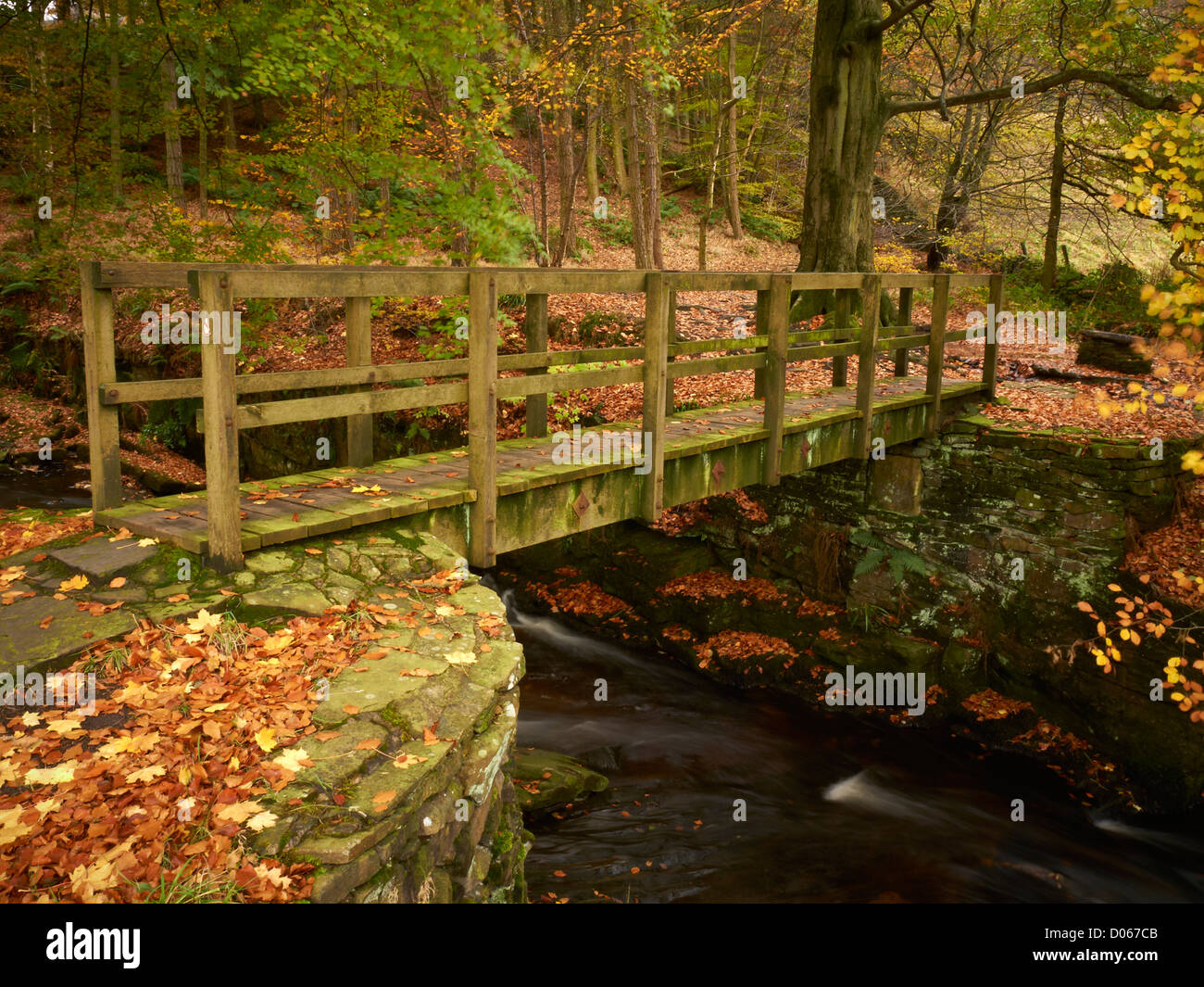 Autumn in the Peak District with walk bridge over the River Dane ...