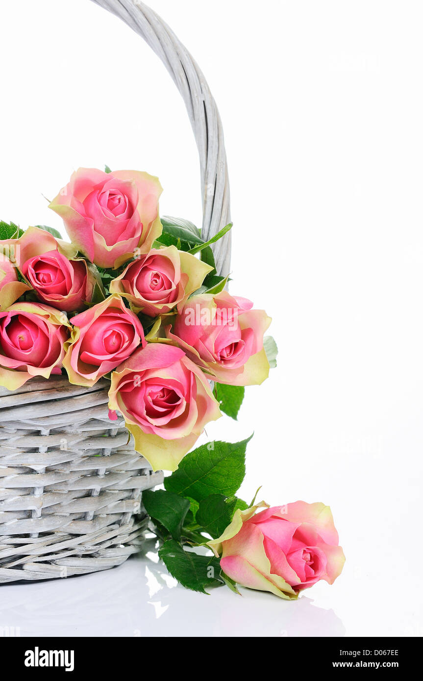 bouquet of pink roses in basket isolated on white background Stock ...