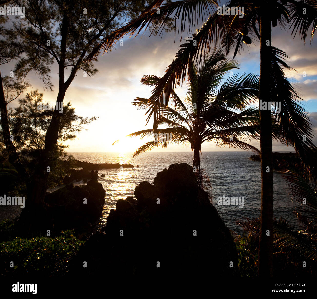 Tropical dusk beach hi-res stock photography and images - Alamy