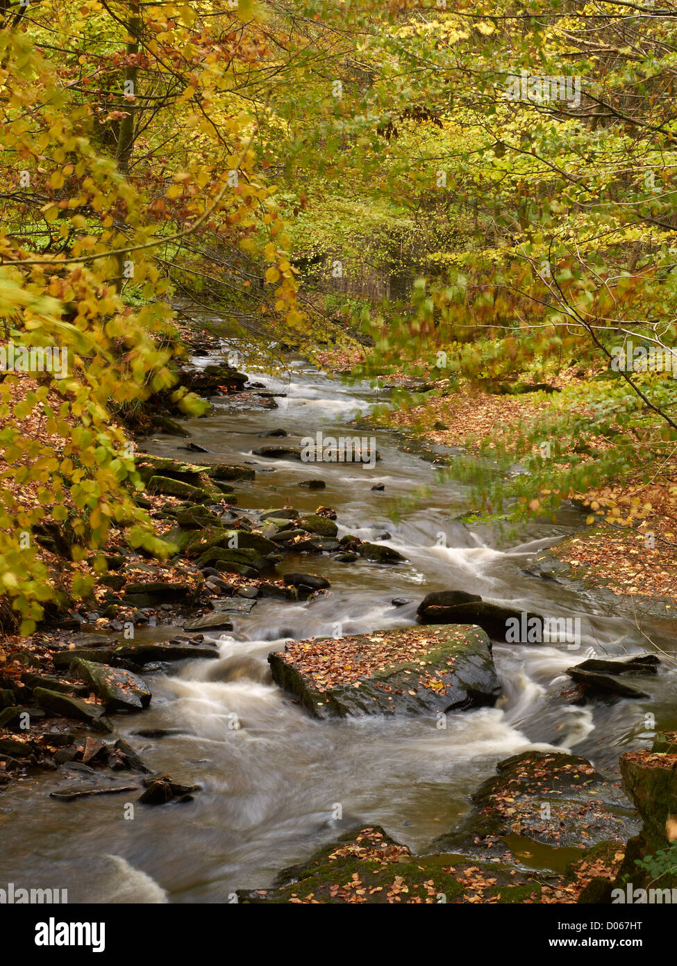 The River Dane in the Peak District National Park Cheshire Derbyshire ...