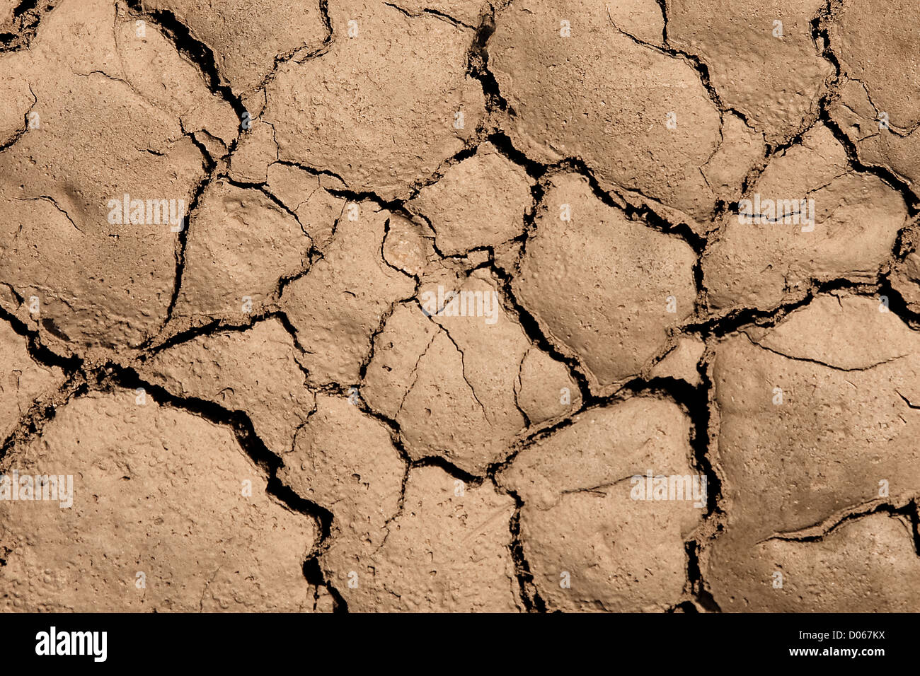 Close up background on dry land with brown color Stock Photo - Alamy