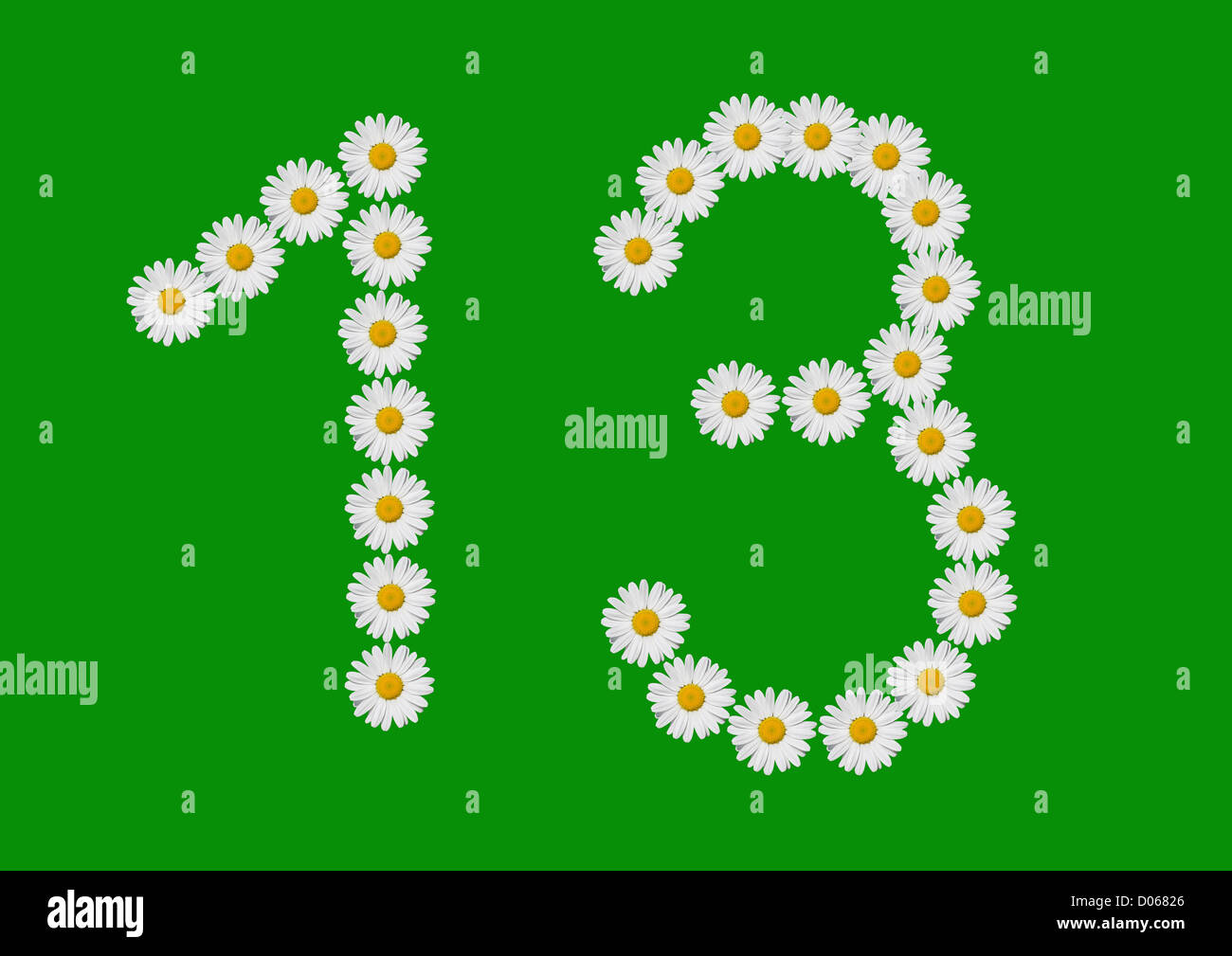 number thirteen made in daisy flower Stock Photo - Alamy