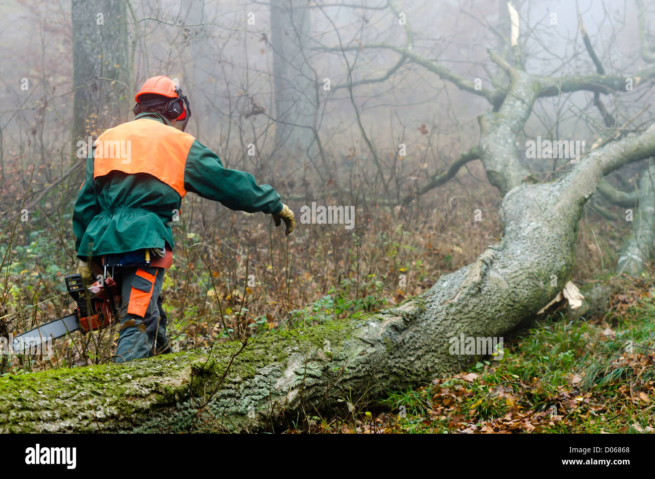 Lumberjack tool hi-res stock photography and images - Alamy