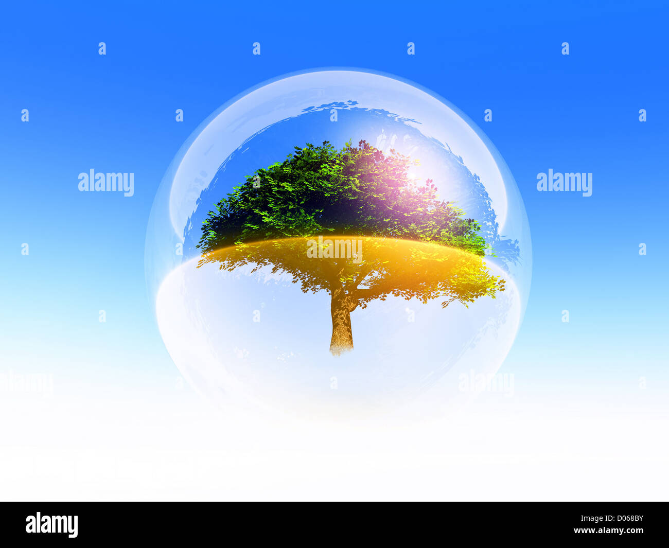 Bubble tree hi-res stock photography and images - Alamy