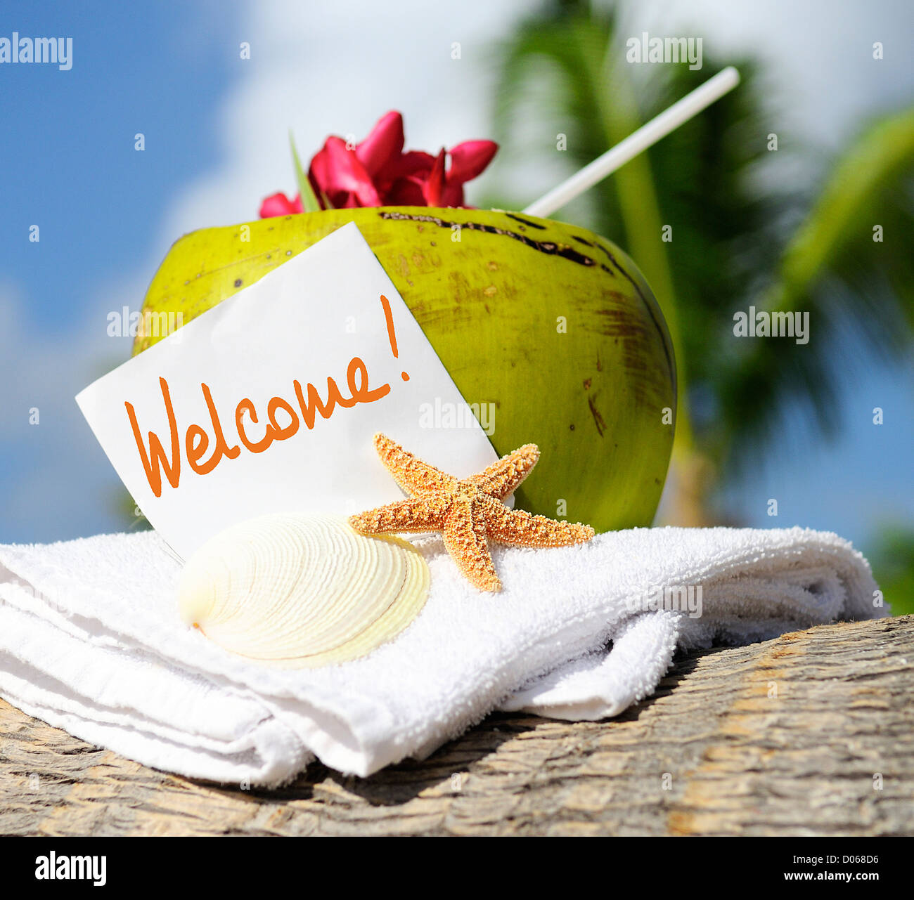 Coconut cocktail starfish tropical Caribbean beach refreshment and ...