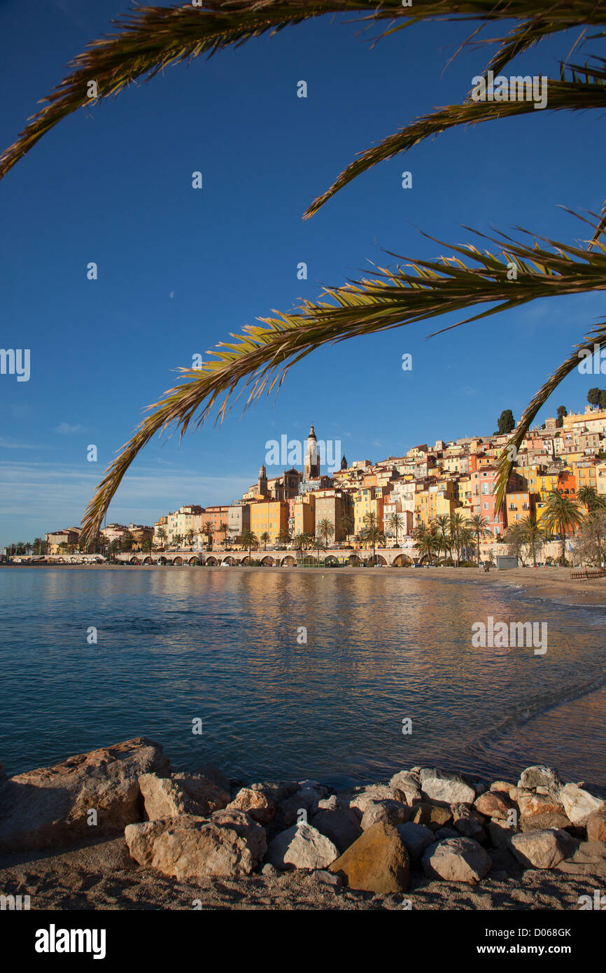 COLOURFUL HOUSES OLD TOWN PALM TREES IN FRONT SABLETTES BEACH SAINT ...