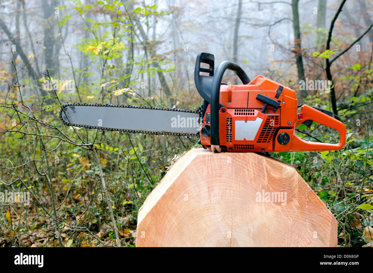 a chainsaw on a tree trunk Stock Photo - Alamy
