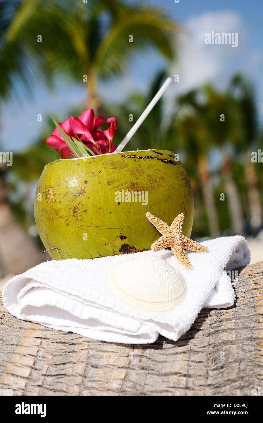 Coconut with drinking straw on a palm tree at the sea Stock Photo - Alamy