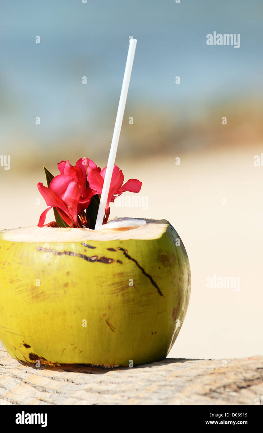 Coconut with drinking straw on a palm tree at the sea Stock Photo - Alamy