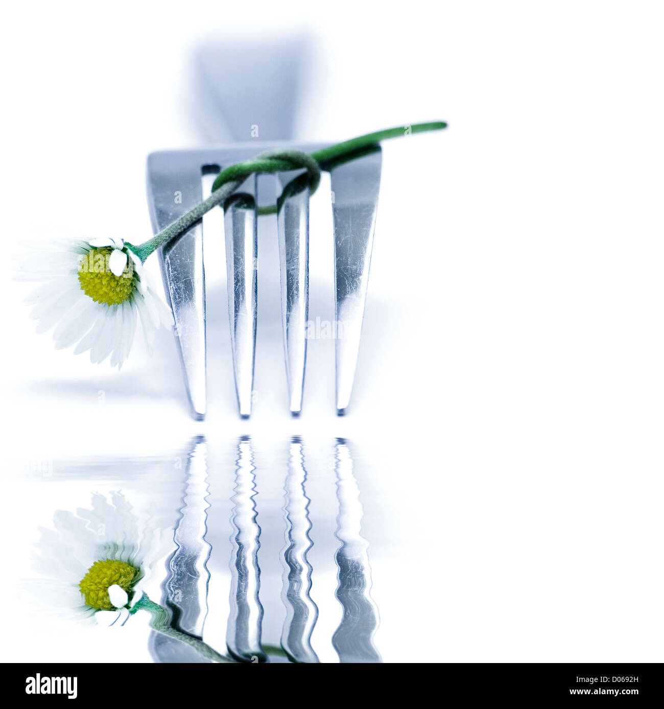 Fork and daisy Stock Photo - Alamy