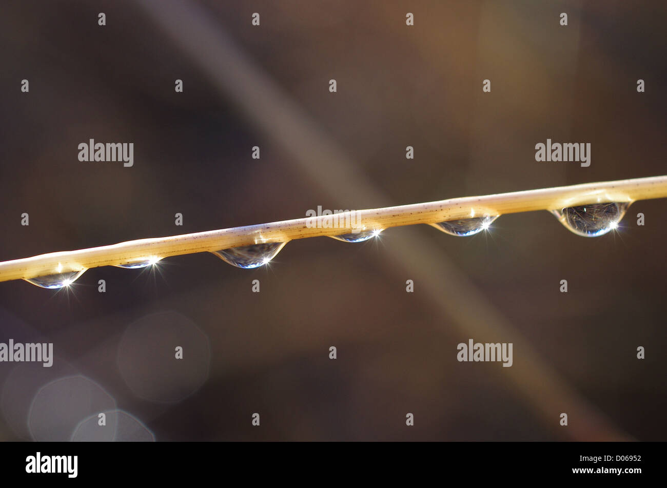 Teardrops hi-res stock photography and images - Alamy