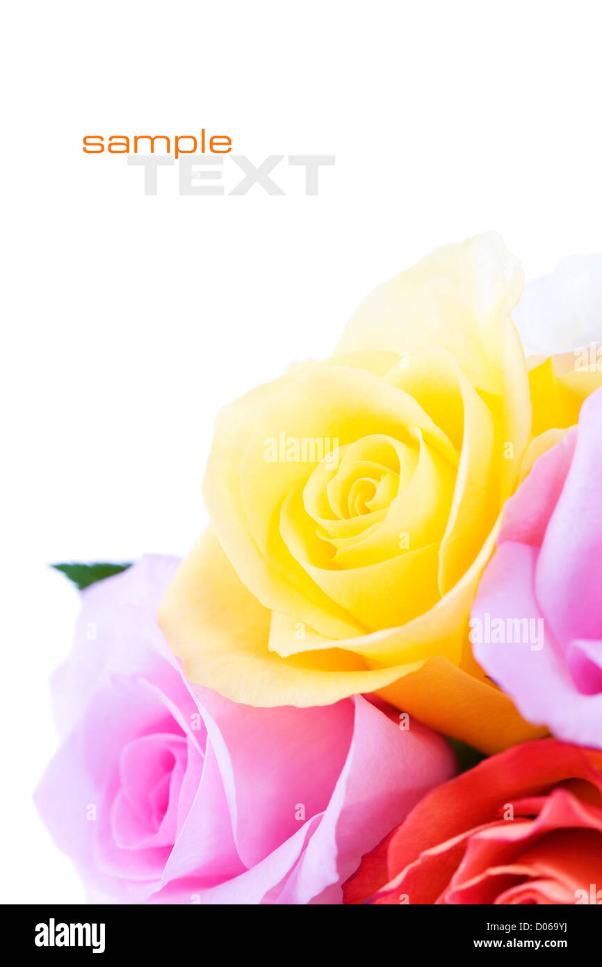 Flor color pastel hi-res stock photography and images - Alamy