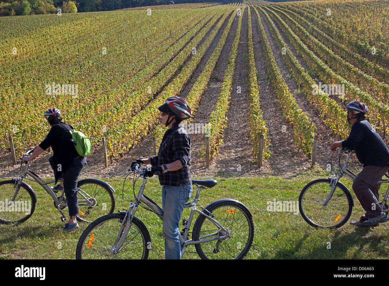 Cycling loire vineyards hi-res stock photography and images - Alamy