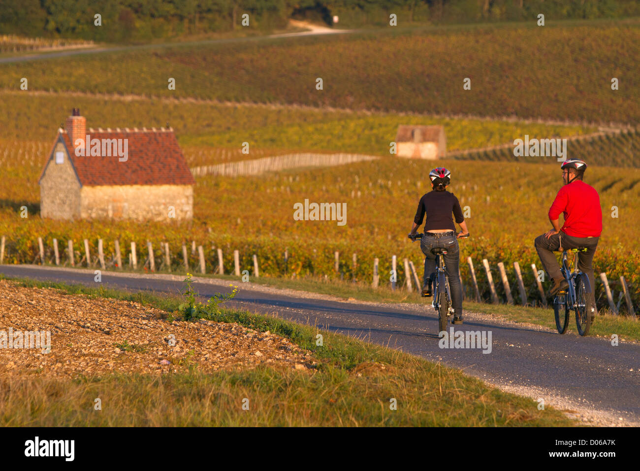 Cycling loire vineyards hi-res stock photography and images - Alamy