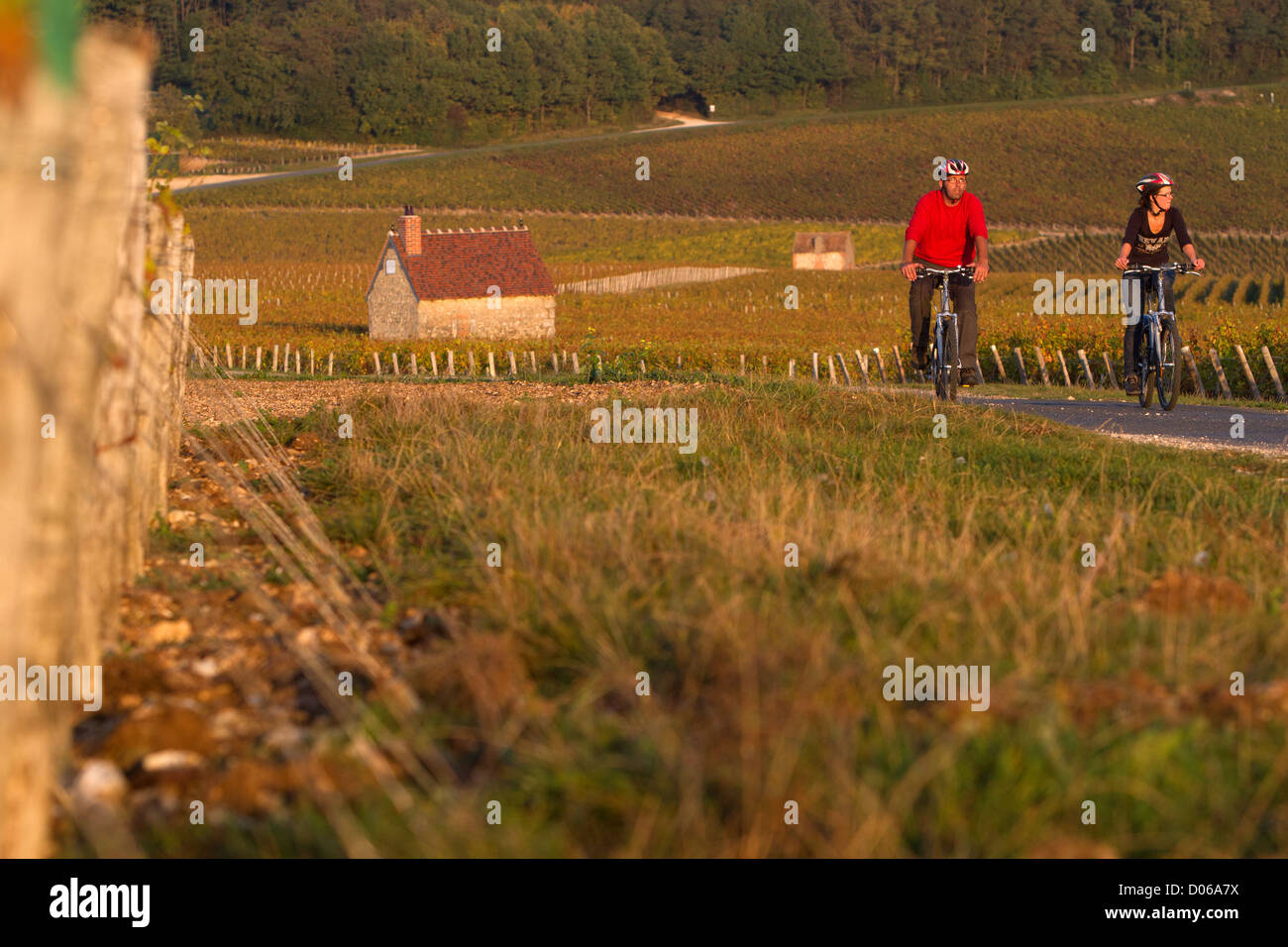 Cycling loire vineyards hi-res stock photography and images - Alamy