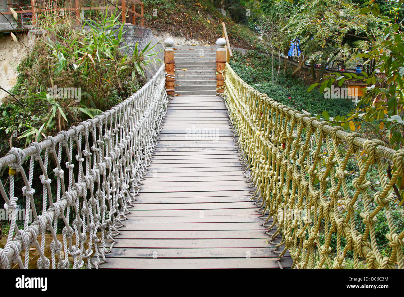 Adventure wooden rope suspension bridge in jungle rainforest Stock ...