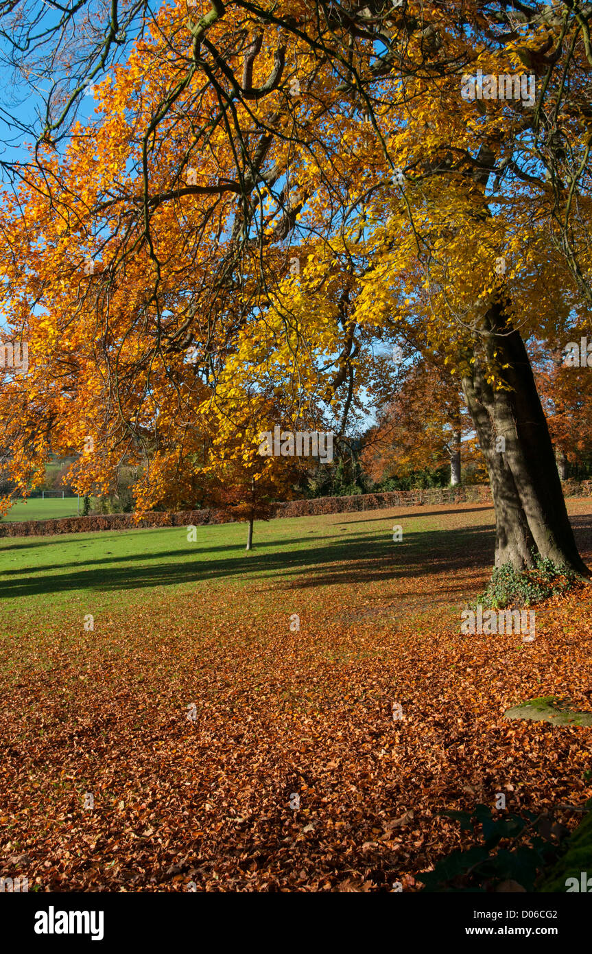 Hemel hi-res stock photography and images - Alamy