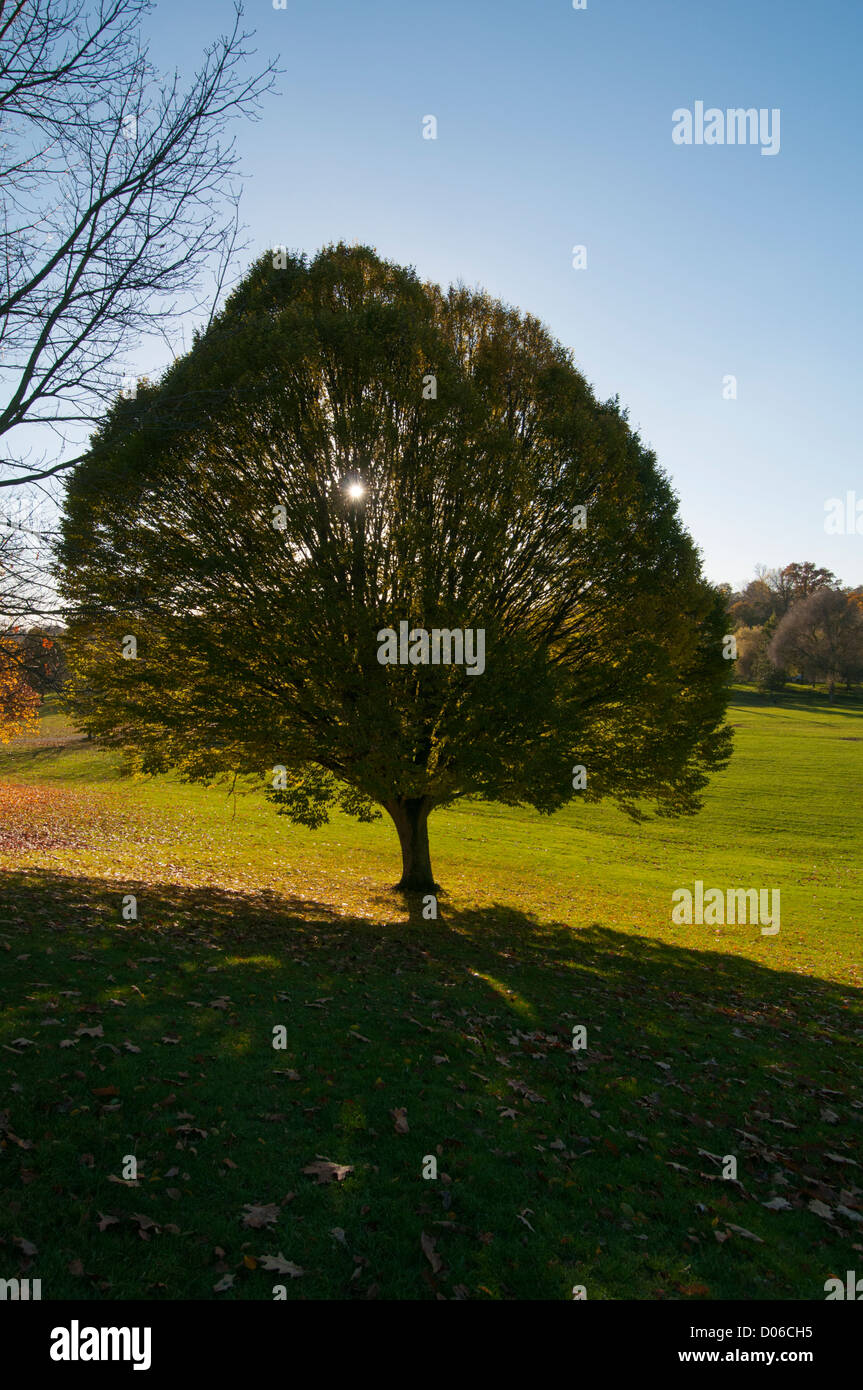 Lens flare landscape hi-res stock photography and images - Alamy