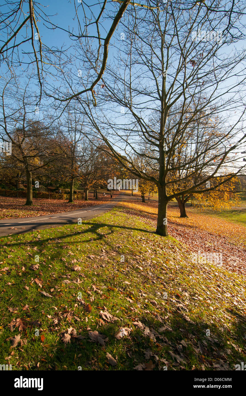 Gadebridge park hemel hempstead hi-res stock photography and images - Alamy