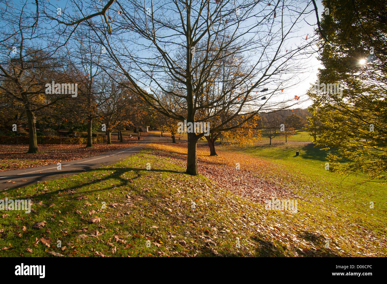 Gadebridge park hemel hempstead hi-res stock photography and images - Alamy