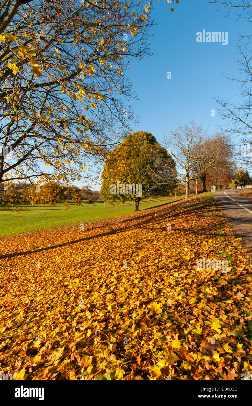 Gadebridge Park Hemel Hempstead Hertfordshire High Resolution Stock ...