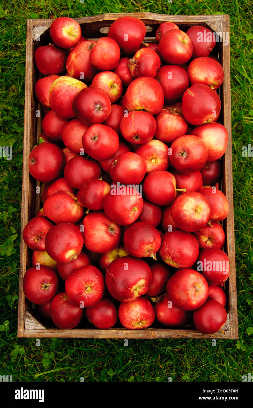 Above a box hi-res stock photography and images - Alamy