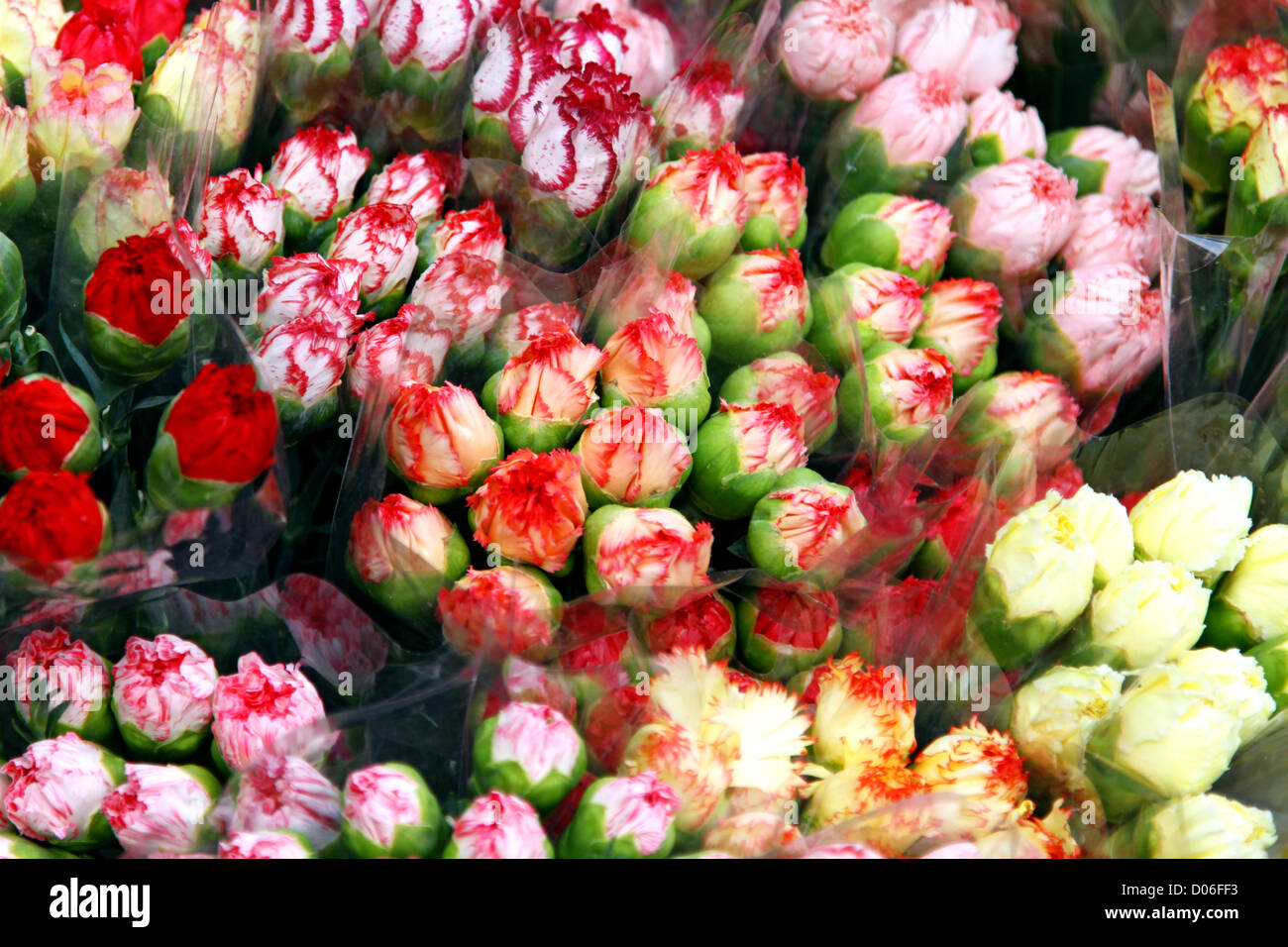 Roses in market for sales Stock Photo - Alamy