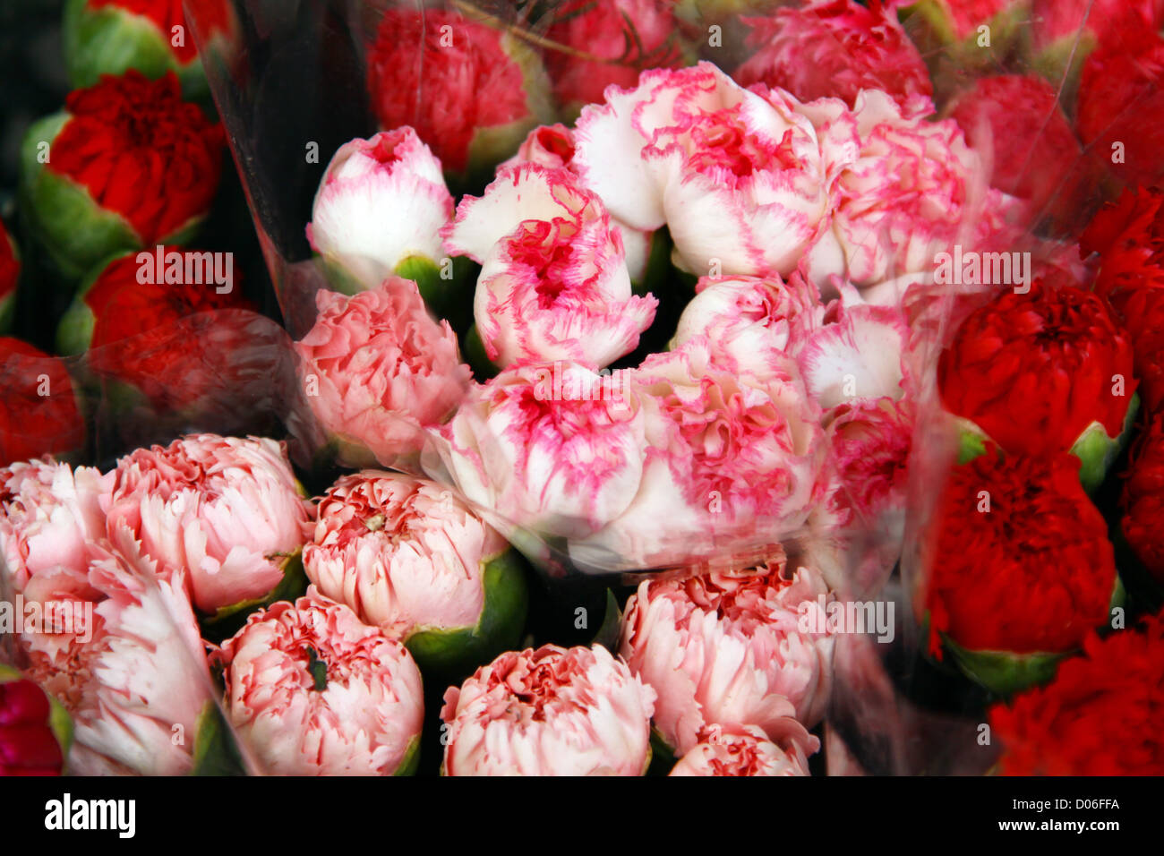 Roses in market for sales Stock Photo - Alamy