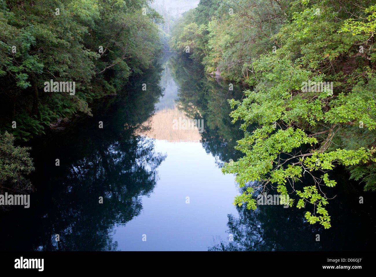 Beautiful scenery of a river with lots of vegetation around Stock Photo ...