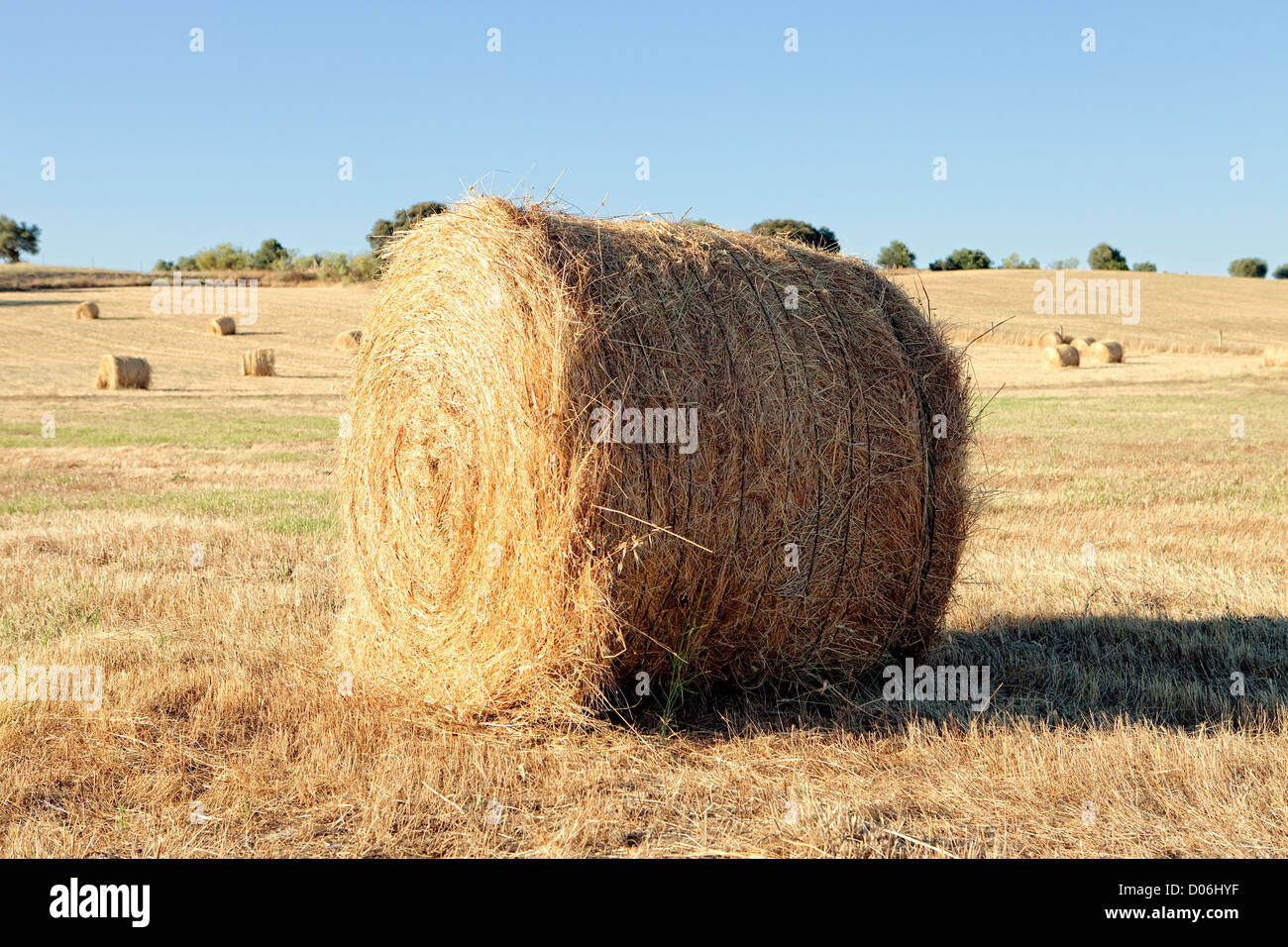 Agricultural field on which lie a straw stack Stock Photo - Alamy