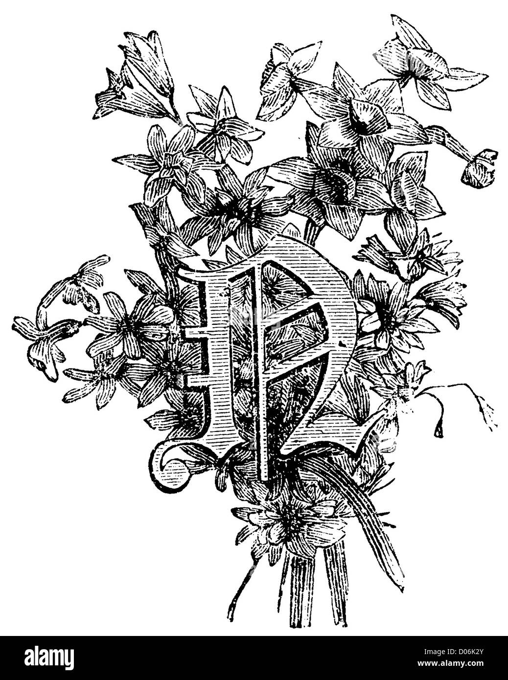 Alphabetic character, letter N Stock Photo - Alamy