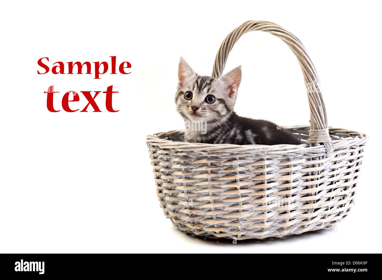 Adorable little kitten on white background with space for text Stock ...