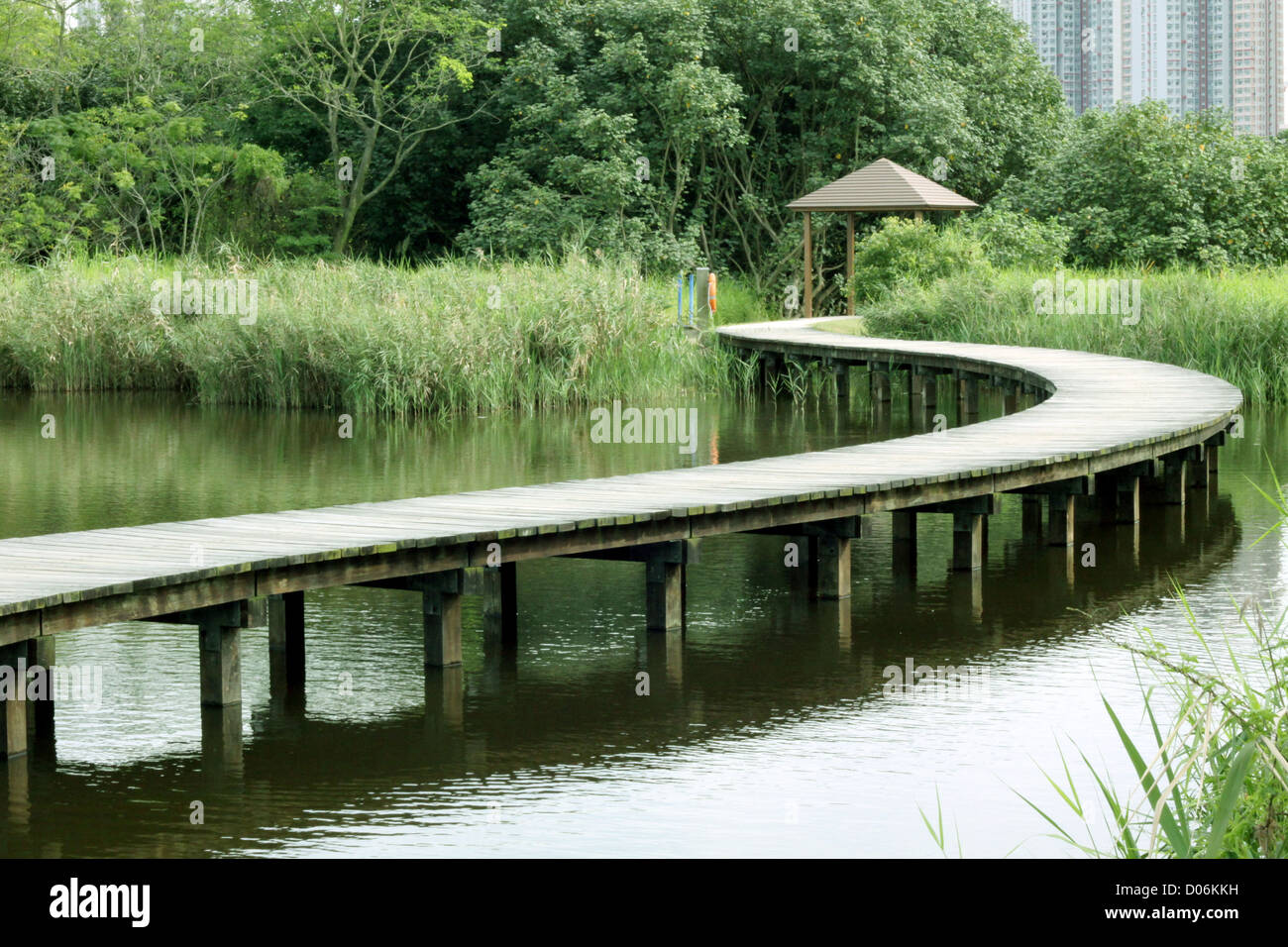 A wooden path in wetland park Stock Photo - Alamy
