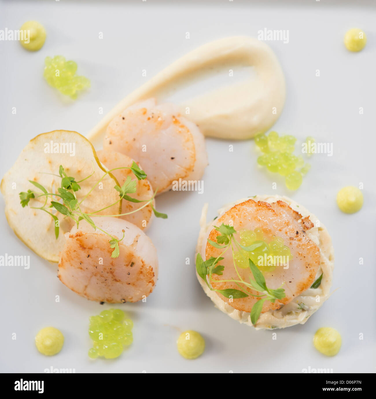 Scallops fine dining hi-res stock photography and images - Alamy
