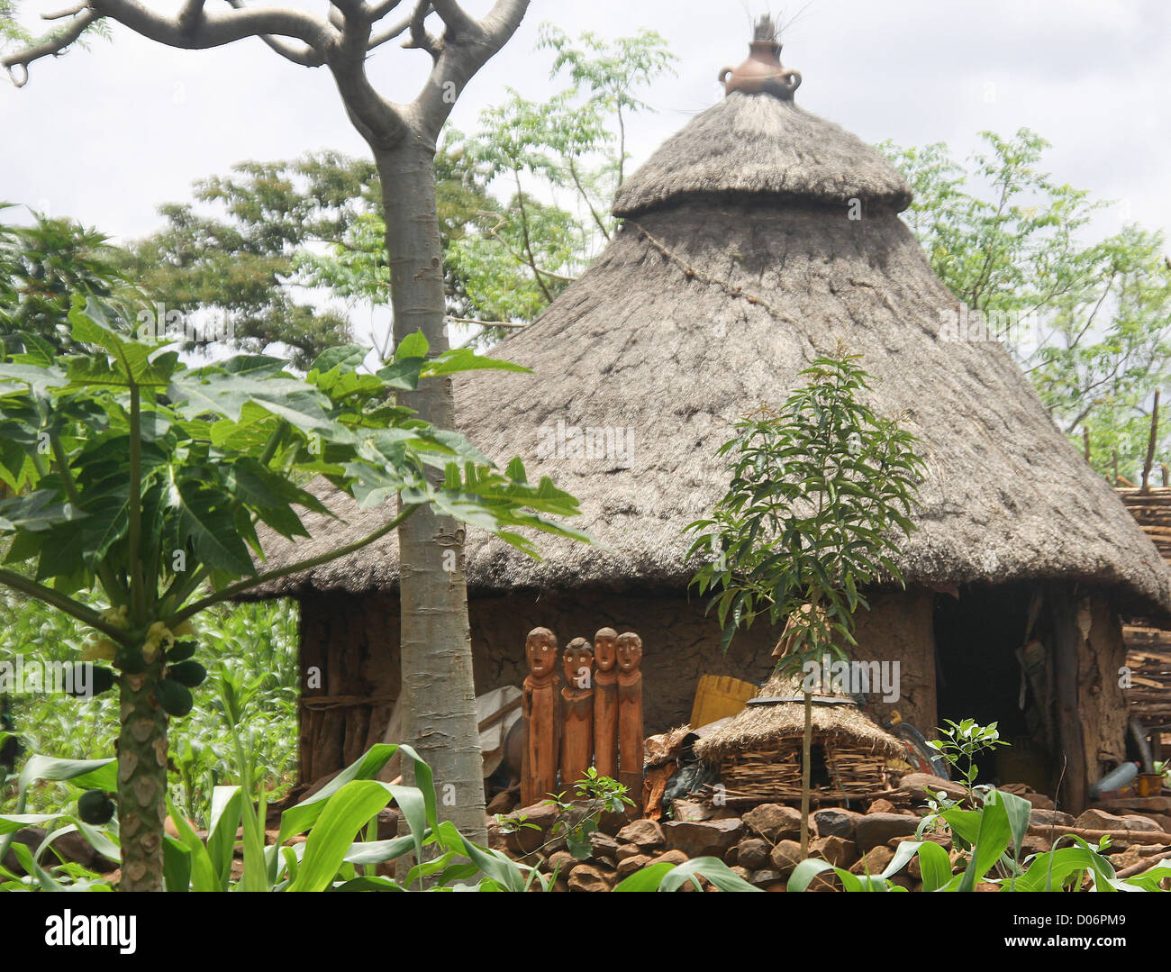 Africa, Ethiopia, Konso tribe, Mecheke village, Thatched roof huts ...