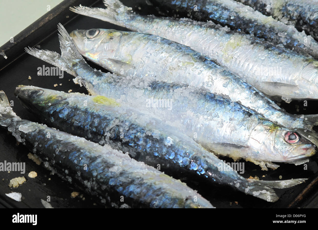 Cooking brought fresh sardines sea recently Stock Photo - Alamy