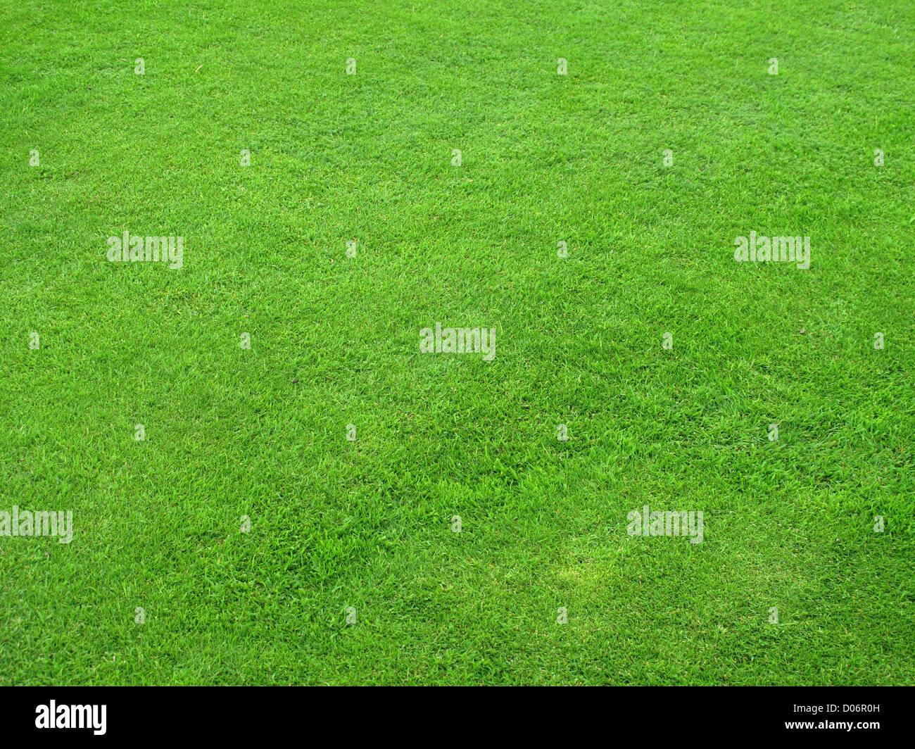 Perfectly cut lawn hi-res stock photography and images - Alamy