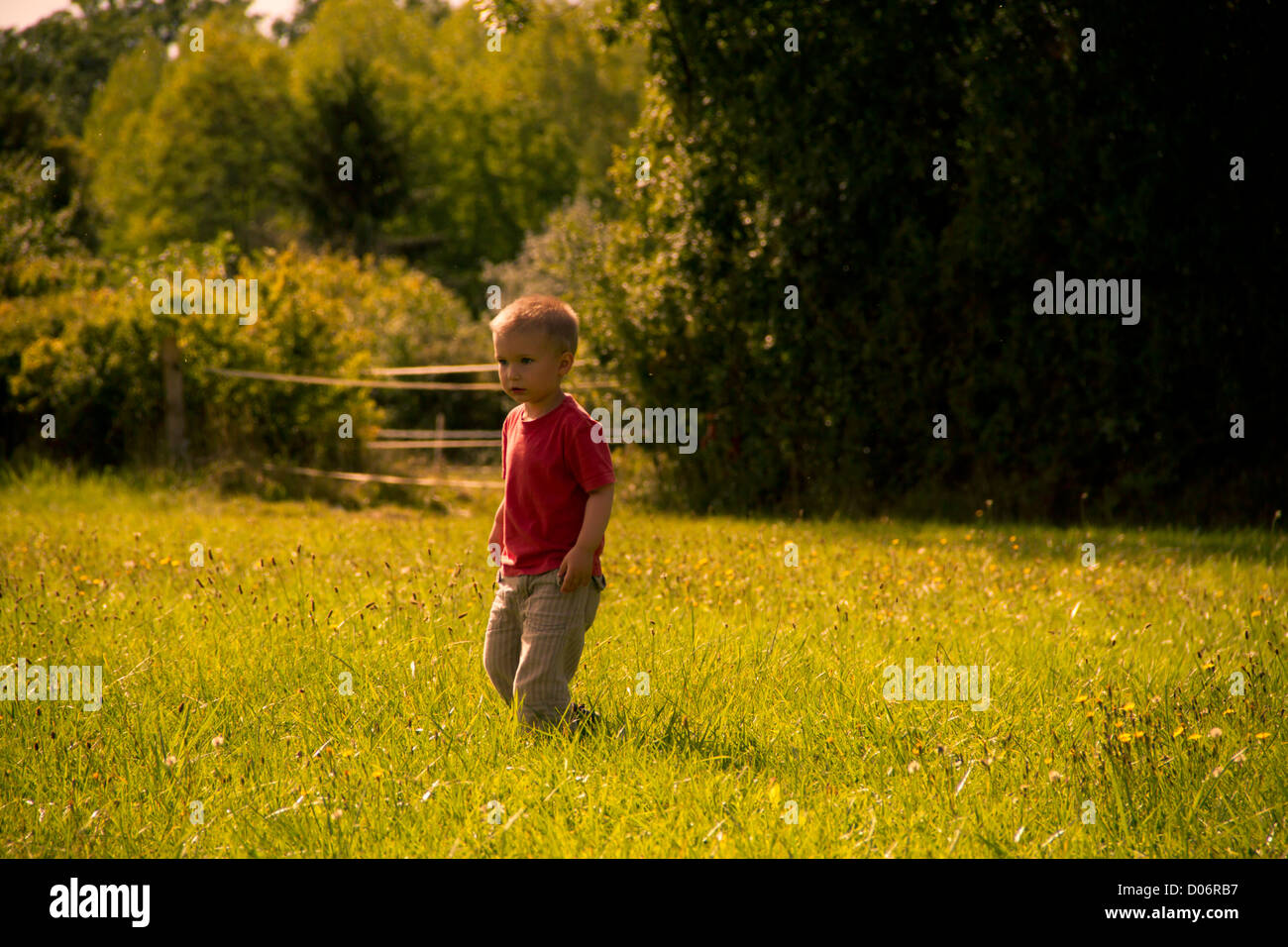 Boy walking through meadow Stock Photo - Alamy