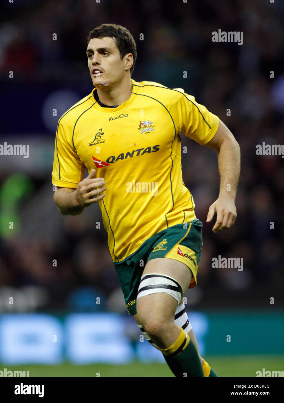 DAVE DENNIS AUSTRALIA RU TWICKENHAM MIDDLESEX ENGLAND 17 November 2012 Stock Photo - Alamy