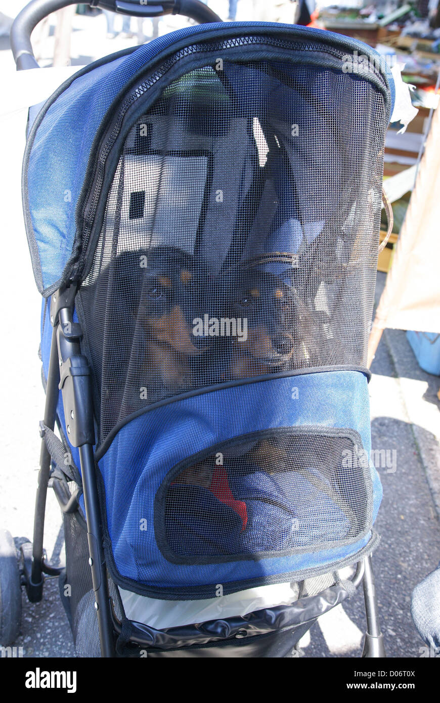 Japan pet buggy hi-res stock photography and images - Alamy