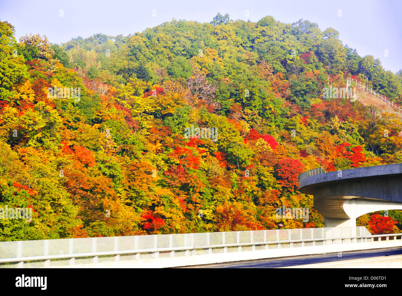 Japanese fall colours Stock Photo - Alamy