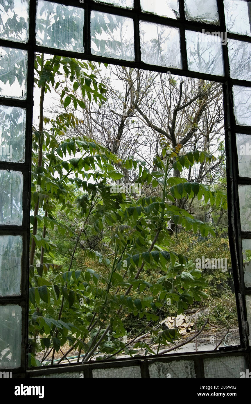 Broken glass debris background hi-res stock photography and images - Alamy