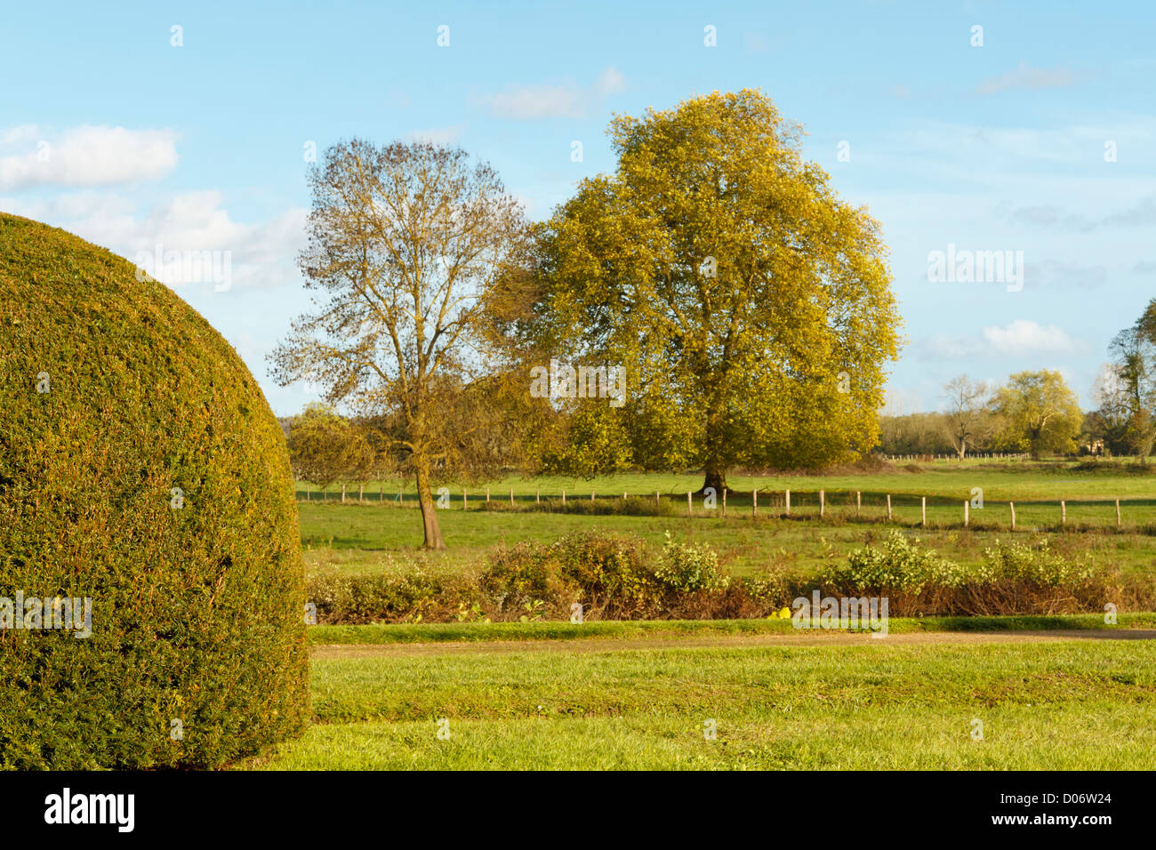 Topiary High Resolution Stock Photography and Images - Alamy