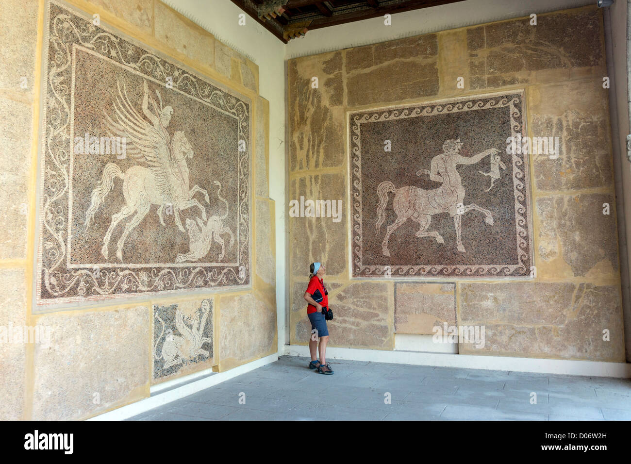 Ancient floor mosaics Rhodes archaeological museum Stock Photo - Alamy