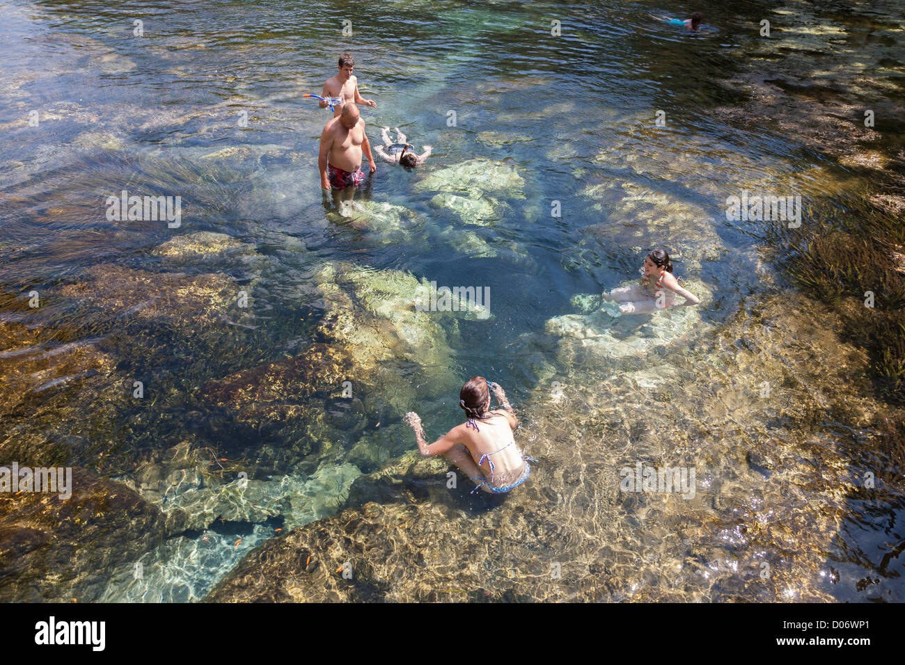 Florida spring water hi-res stock photography and images - Alamy