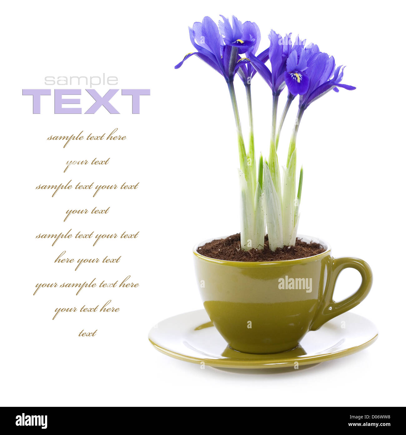Cup coffee fresh flowers Cut Out Stock Images & Pictures - Alamy